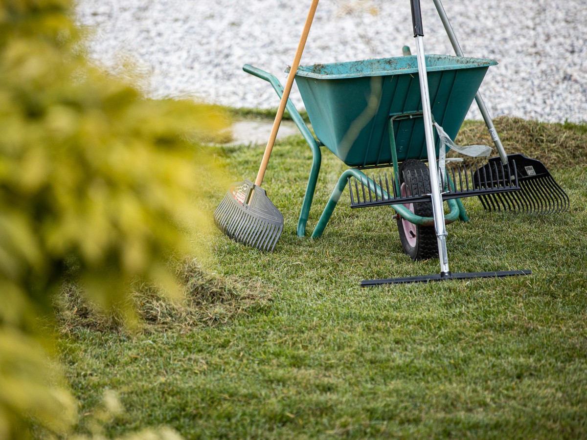 Guida al Giardinaggio: Come Scegliere i Migliori Strumenti e Prodotti ...