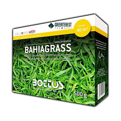 Seme per prato bahiagrass - bottos - Bottos Sementi prato e fiori in ...
