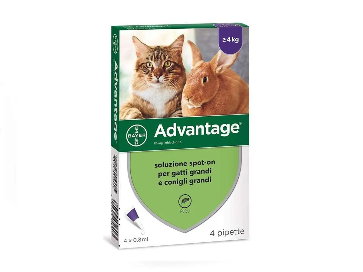 Pipette per gatti e conigli grandi spot-on - advantage - Advantage Antiparassitari per cani e ...